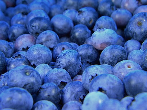 Peru Is Big Blueberry Exporter Now EnglishDiary